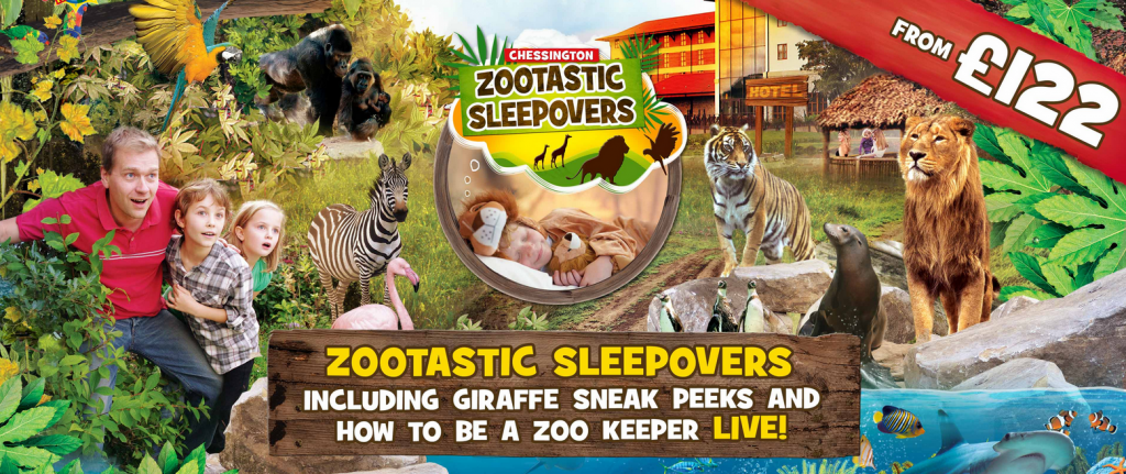 Zootastic sleepover at Chessington for a family of 4 just £122! - Have ...